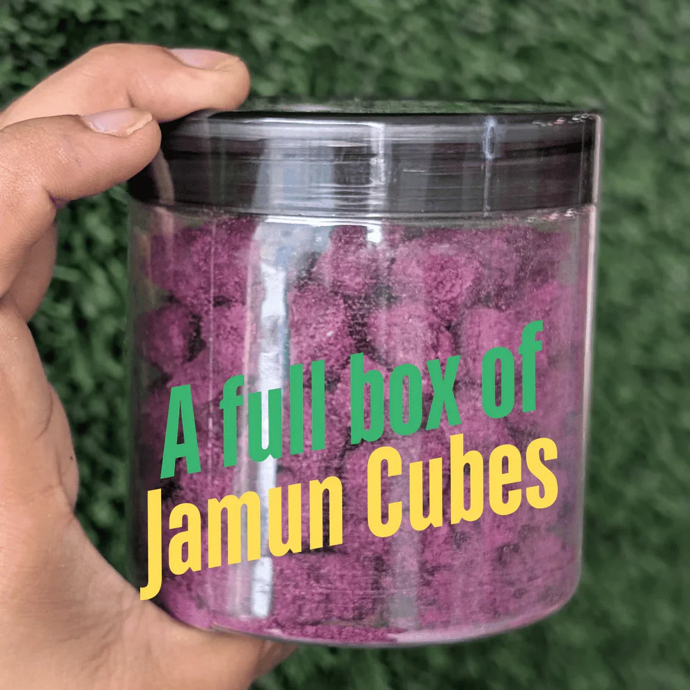 Freeze-Dried Jamun – Crunchy, Healthy & Guilt-Free Snack | DryM Foods